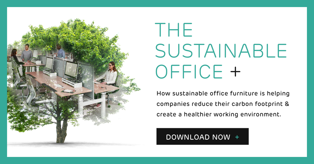 The Sustainable Office | Insightful Environments
