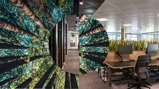 4 steps to a sustainable office refurbishment - with real examples